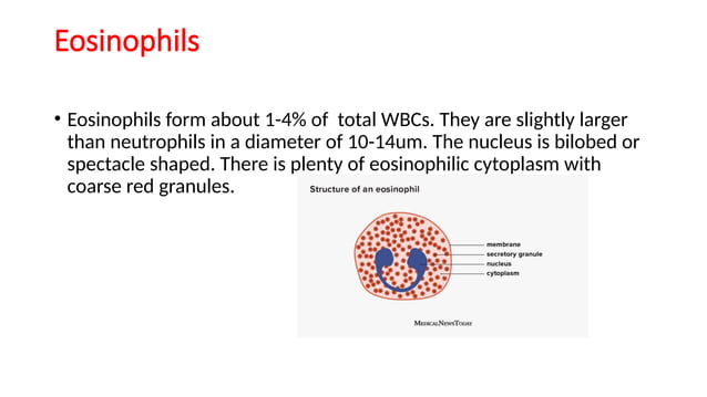blood and blood components- ppt for GNM students | PPT