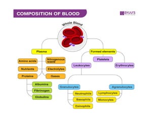 Blood: The Lifeline of the Body Introduction | PPTX