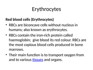 Blood: The Lifeline of the Body Introduction | PPTX