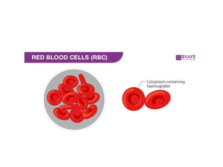 Blood: The Lifeline of the Body Introduction | PPTX