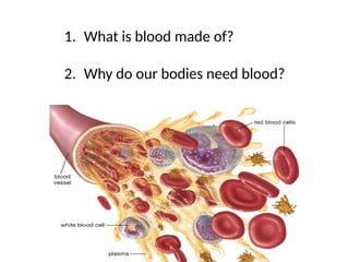 blood ppt presentation for lower secondary school | PPTX