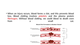 blood composition groups rh factors erythroblastosis foetalis | PPTX
