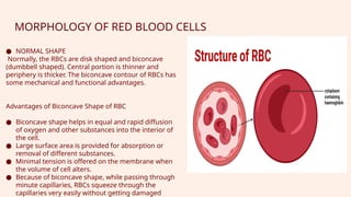 PHYSIOLOGY OF BLOODCOMPONENTS OF BLOOD] PLASMA PROTEIN | PPTX