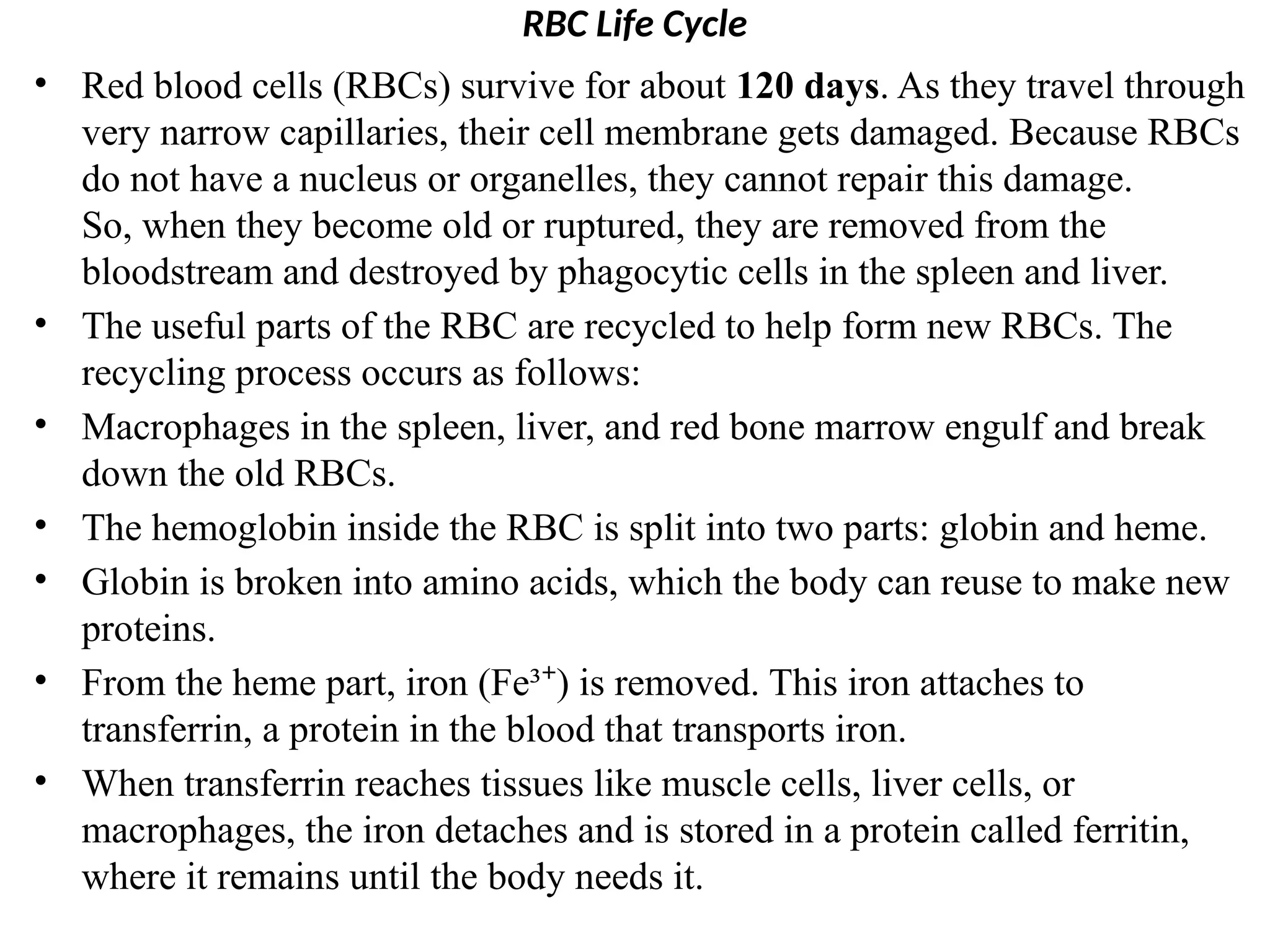 BLOOD components,life cycle of RBC..pptx