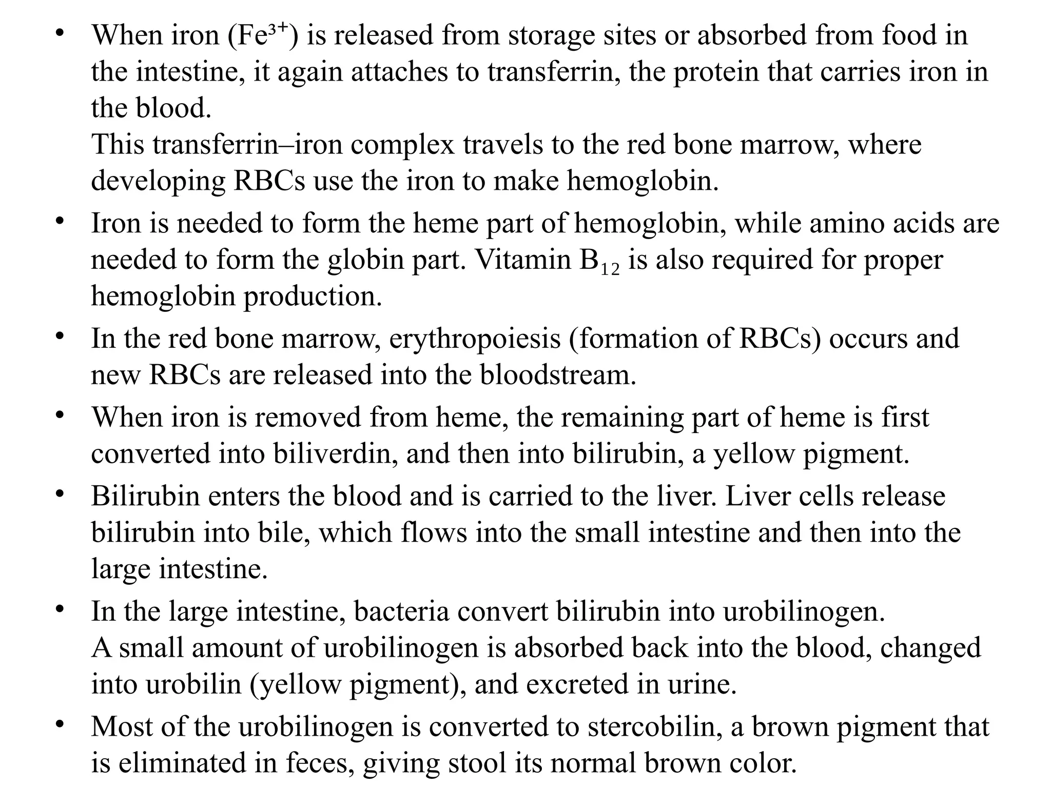 BLOOD components,life cycle of RBC..pptx