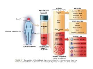 BLOOD components,life cycle of RBC..pptx