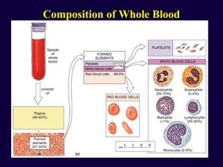 Histology of blood how its looksand forms and works | PPTX