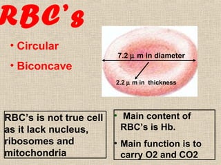 Blood #2, RBCs - Physiology | PPT