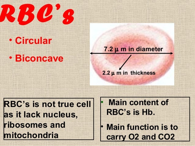 Blood #2, RBCs - Physiology