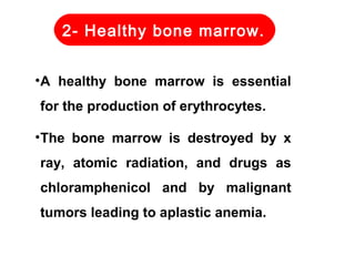 Blood #3, Erythropoiesis - Physiology | PPT