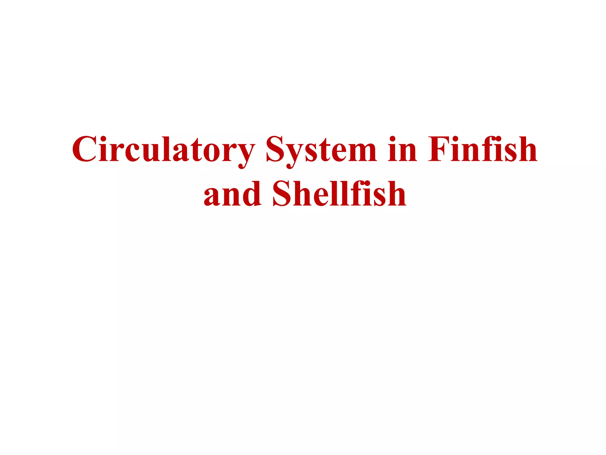 Blood-circulation.pdf
