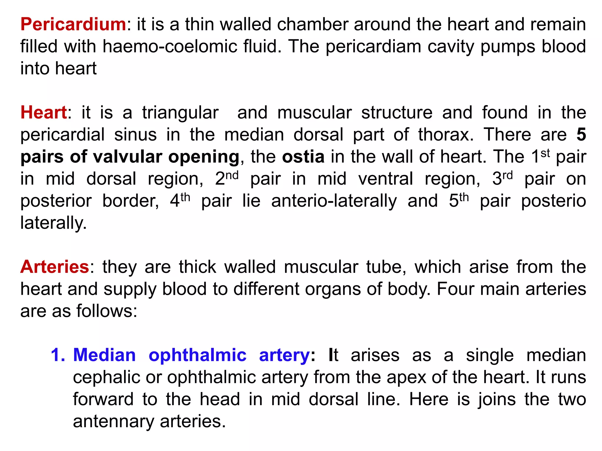 Blood-circulation.pdf