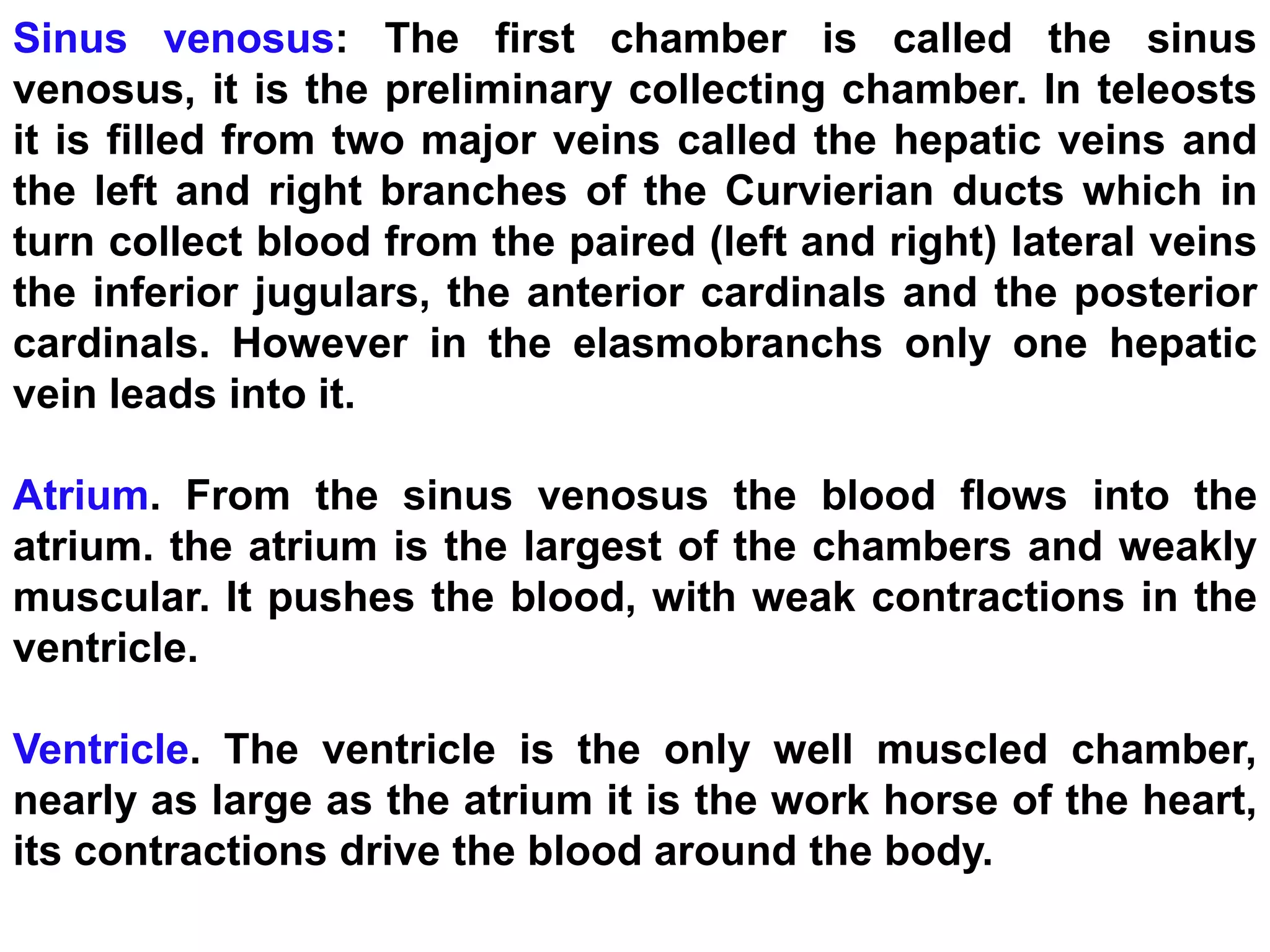 Blood-circulation.pdf