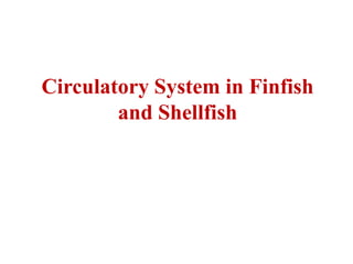 Blood-circulation.pdf