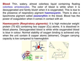 Blood-circulation.pdf