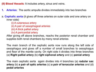 Blood-circulation.pdf