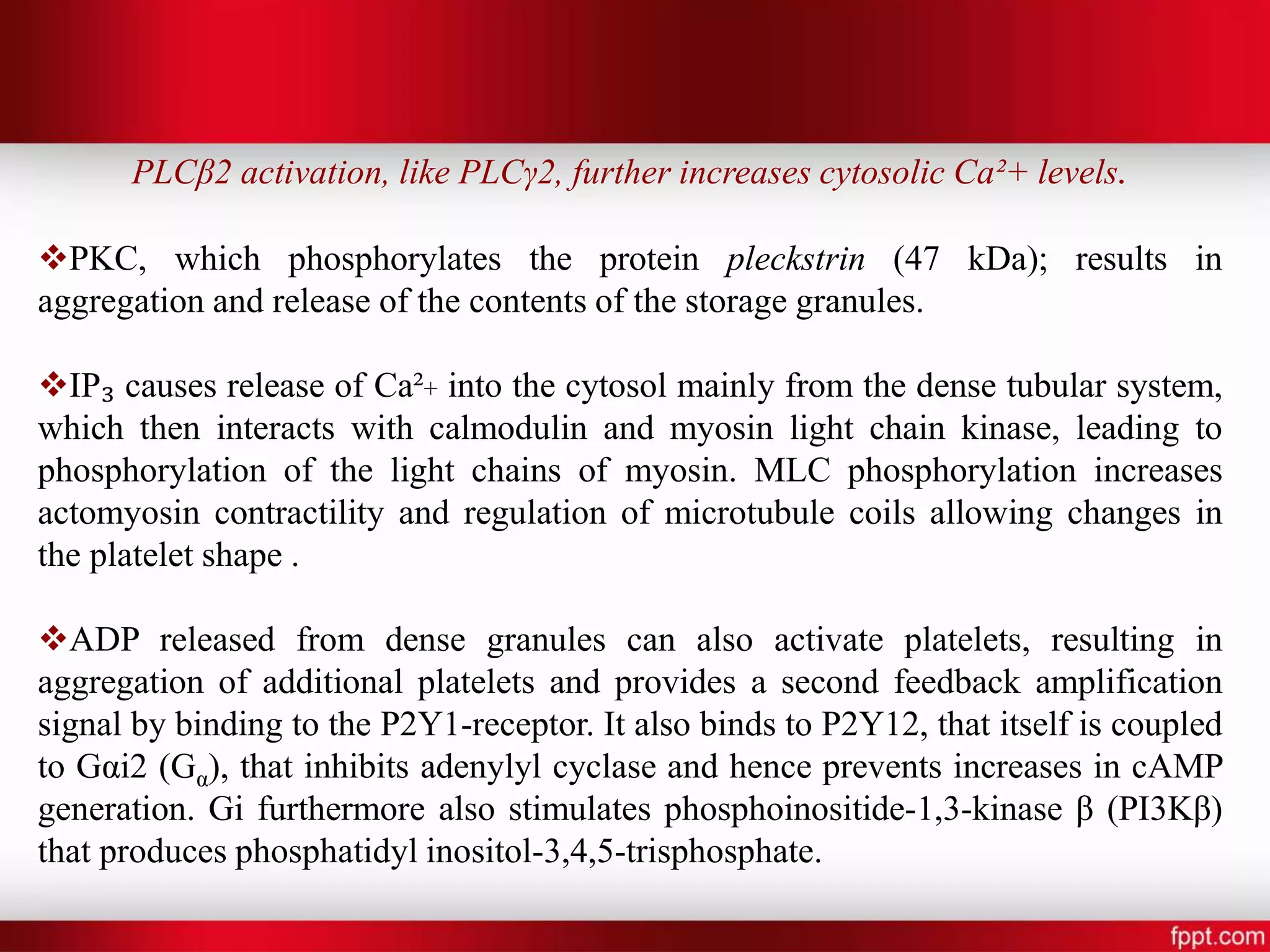 Blood coagulation-hemostasis | PPTX