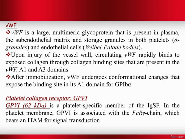 blood-coagulation-180504105426 (1).pdf... | PPT