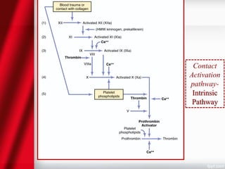 blood-coagulation-180504105426 (1).pdf... | PPT