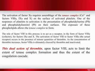blood-coagulation-180504105426 (1).pdf... | PPT