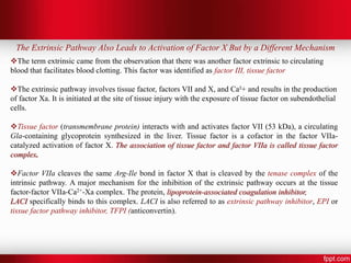 blood-coagulation-180504105426 (1).pdf... | PPT