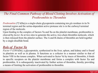 blood-coagulation-180504105426 (1).pdf... | PPT