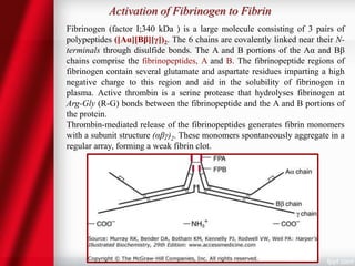 blood-coagulation-180504105426 (1).pdf... | PPT