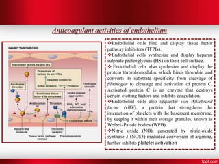 blood-coagulation-180504105426 (1).pdf... | PPT
