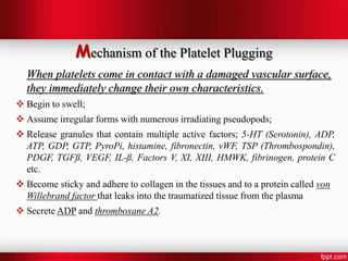 blood-coagulation-180504105426 (1).pdf... | PPT