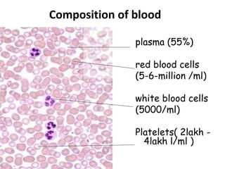 composition of Blood | PPTX