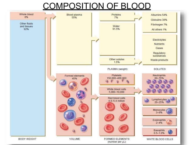 Blood composition-190117102520 (1) | PPT