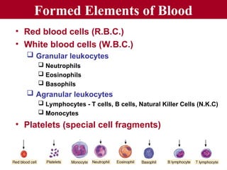 Blood - Composition and General Properties of Whole Blood.ppt