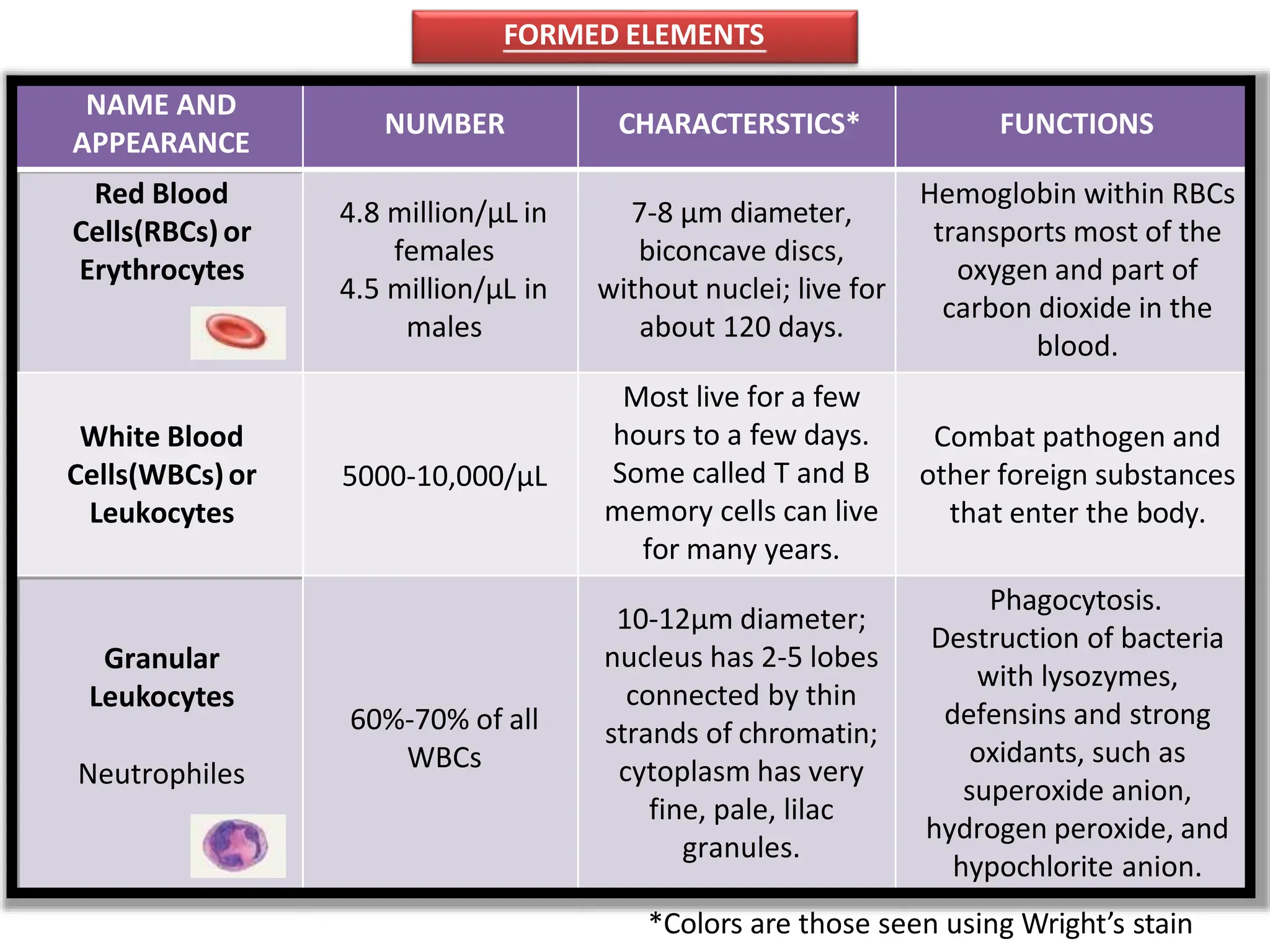 blood-composition & functions.pdfgishisjhsi | PDF