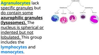 Blood - Histology (1).pptx