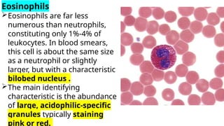 Blood - Histology (1).pptx