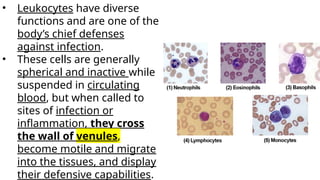 Blood - Histology (1).pptx