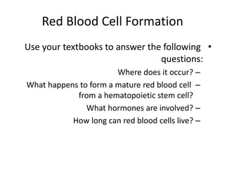 Blood physiology | PPTX