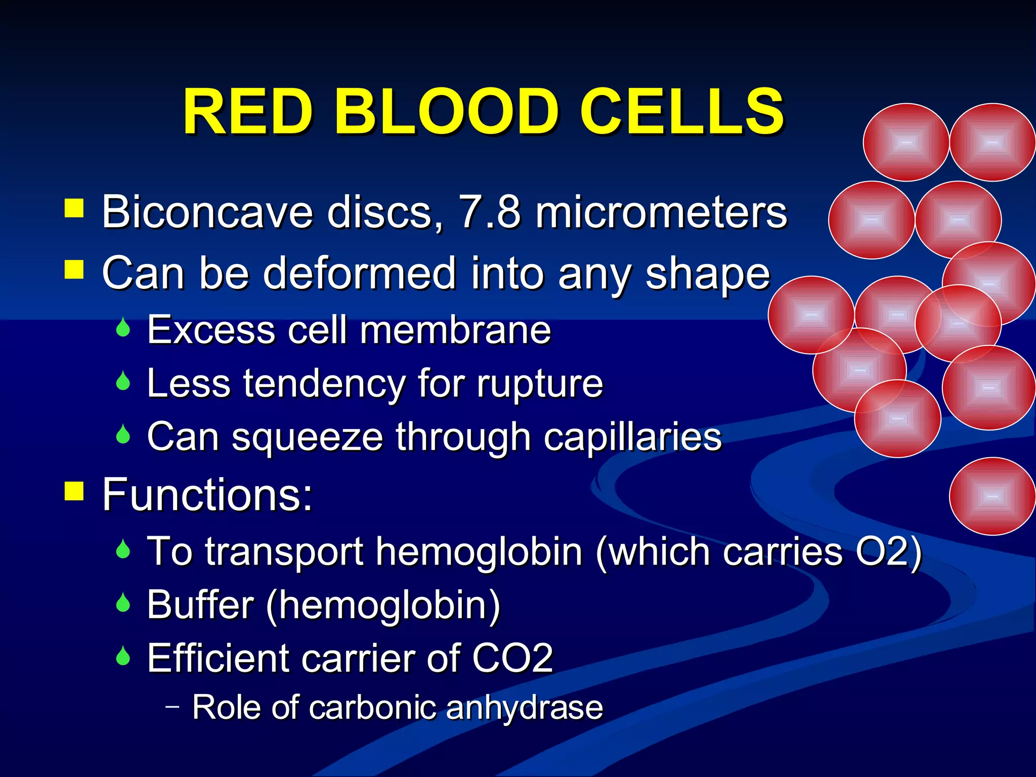 Blood Physiology | PPT