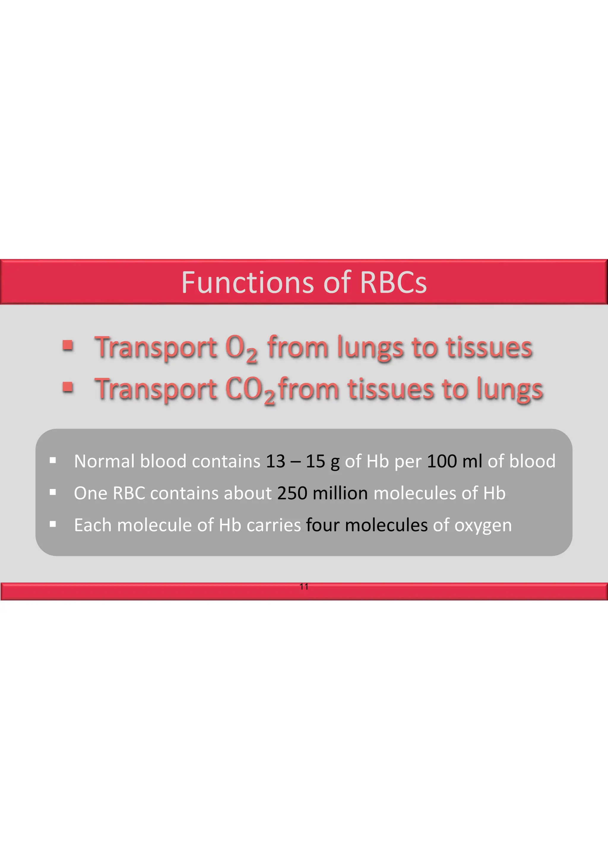Blood___Physiology--and--Circulation.pdf