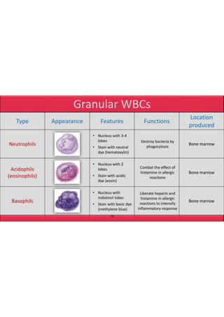 Blood___Physiology--and--Circulation.pdf
