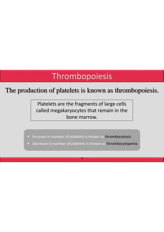 Blood___Physiology--and--Circulation.pdf | Blood Disorders | Diseases and Conditions
