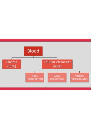 Blood___Physiology--and--Circulation.pdf