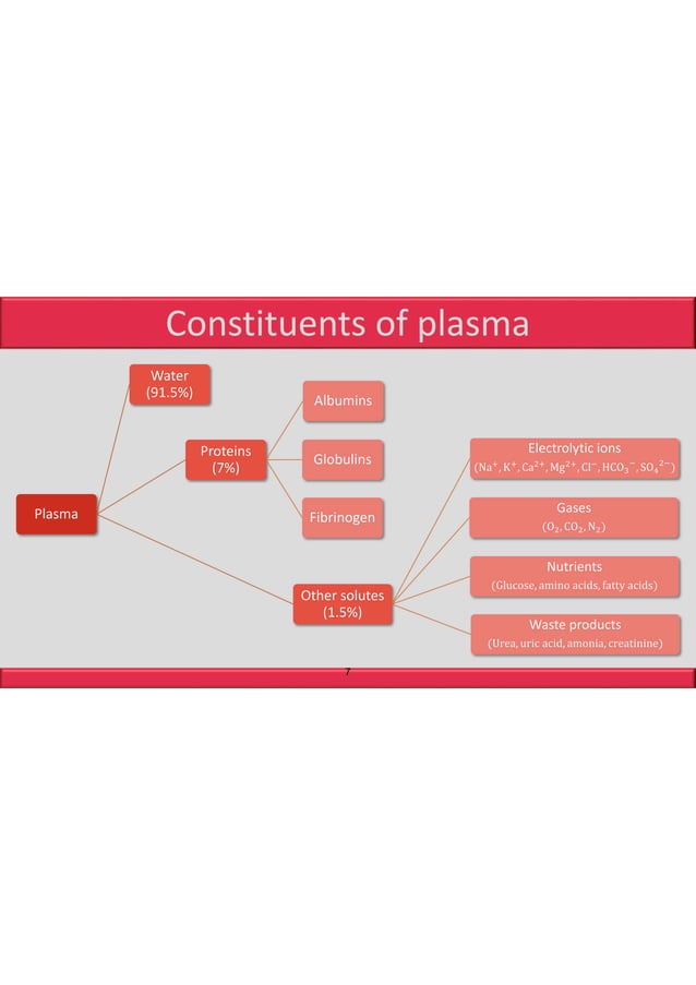 Blood___Physiology--and--Circulation.pdf | Blood Disorders | Diseases and Conditions