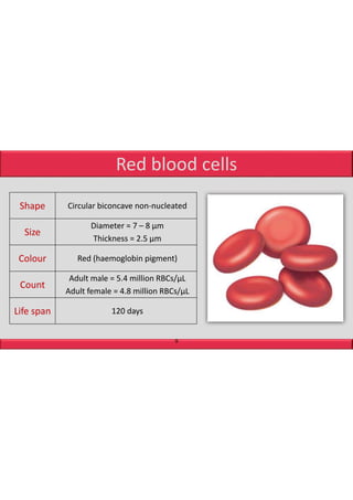 Blood___Physiology--and--Circulation.pdf