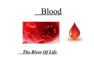 blood- ppt by me.pptx hhbfyhhgcknvvghnvvghn | PPTX