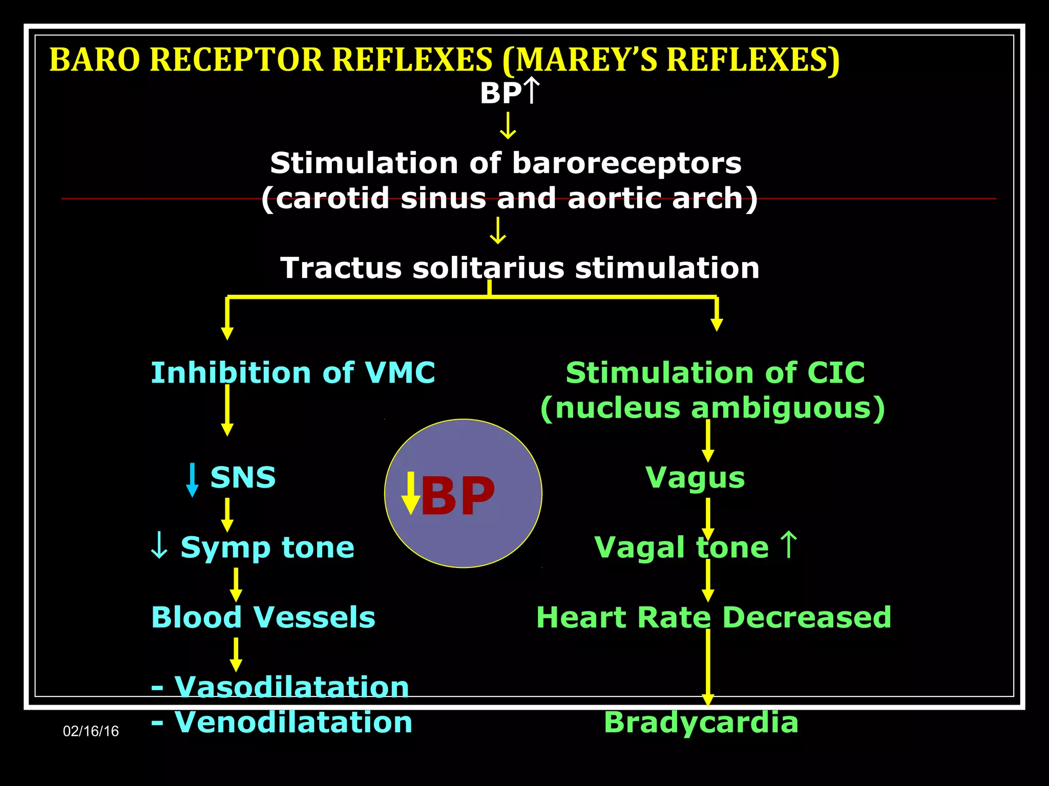 Blood pressure | PPT
