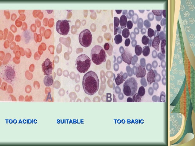 Blood-smear preparation and staining.ppt