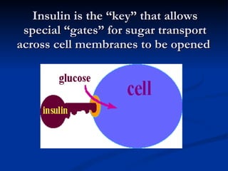 Blood Sugar | PPT