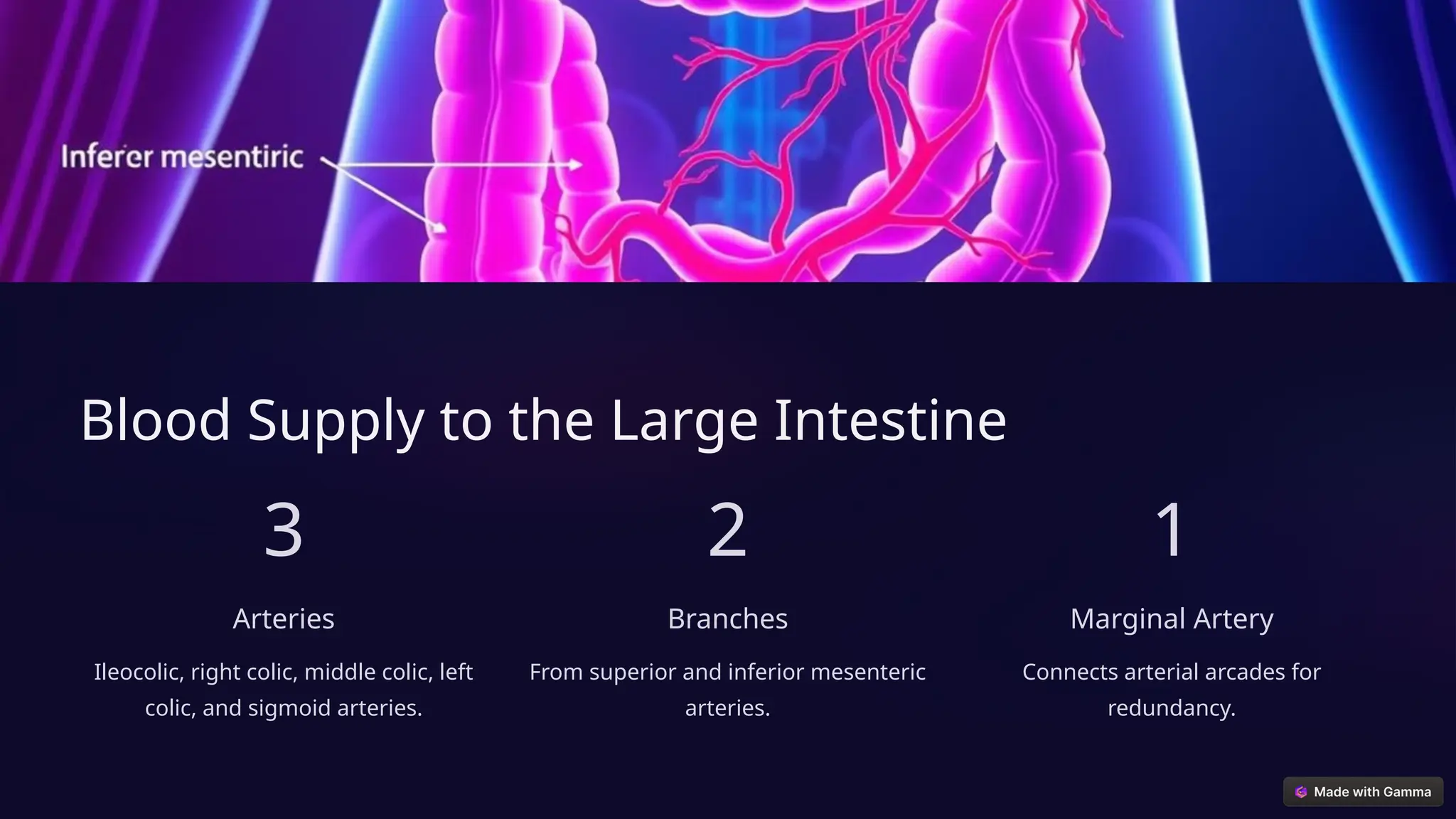 Blood-Supply-and-Venous-Drainage-of-the-GI-Tract.pptx