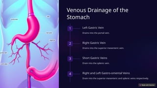 Blood-Supply-and-Venous-Drainage-of-the-GI-Tract.pptx